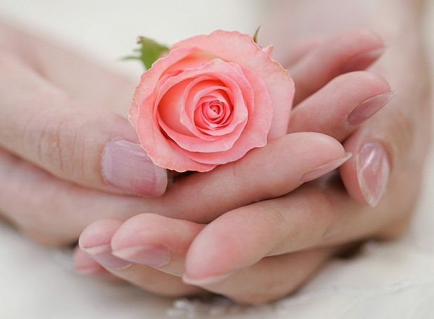 Simbol Budine ruže: šta je koan i kako čuti zvuk jedne ruke | Sensa