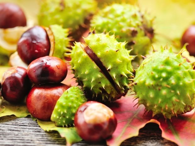 JEFTIN LOSION ZA SLABU I OŠTEĆENU KOSU: napravite domaći tretman za ...