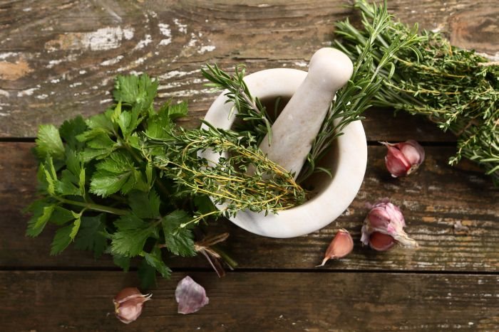 Ova moćna biljka poboljšava varenje: evo zašto u jelo treba da sipate ...