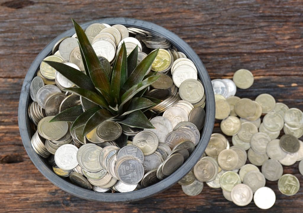 biljke za privlacenje novca i srece feng shui | Sensa