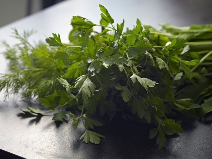Kako da sačuvamo svež peršun i bosiljak | Sensa